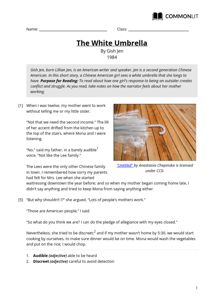The White Umbrella-Teacher-14 | PDF