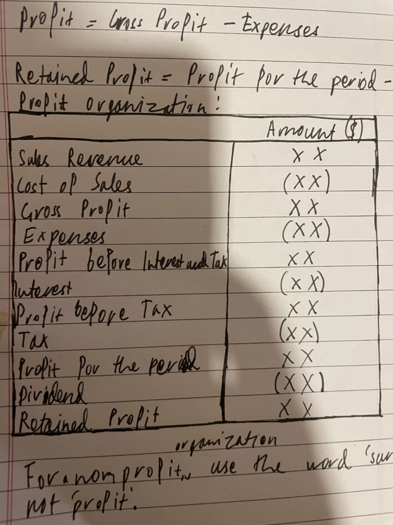 IBDP Business Management Balance SHeet | PDF