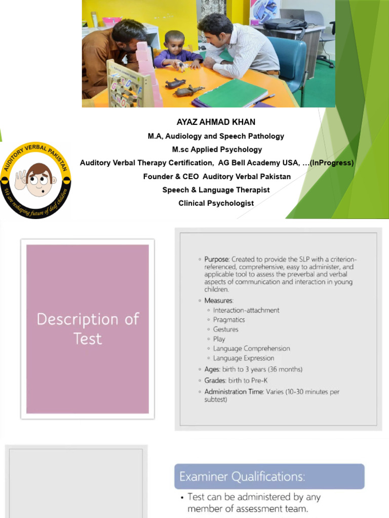 Rossetti Infant-Toddler Language Scale | PDF