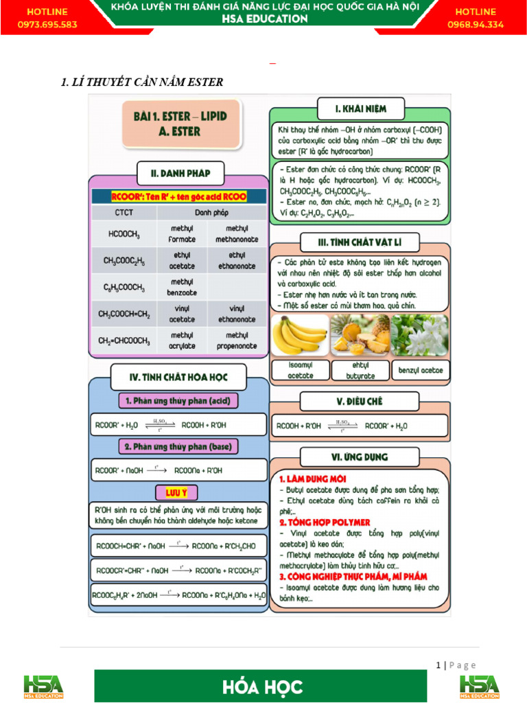 Hsa. Ha Hc. B12. Ester | PDF