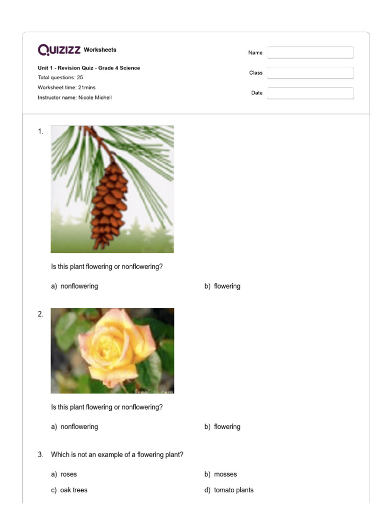 Grade 4 Science Plant Quiz Worksheet | PDF | Flowers | Petal