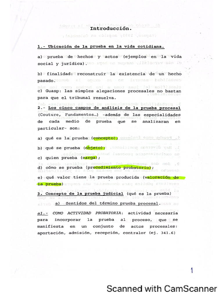 Prueba Procesal | PDF