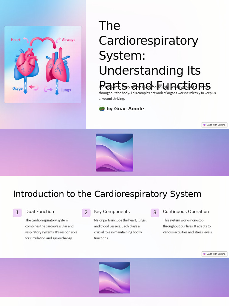 The Cardiorespiratory System Understanding Its Parts and Functions ...