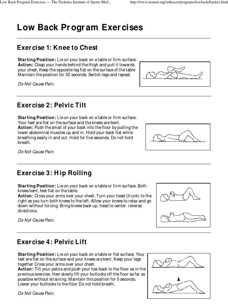 Low Back Program Exercises - The Nicholas Institute of Sports Medicine ...