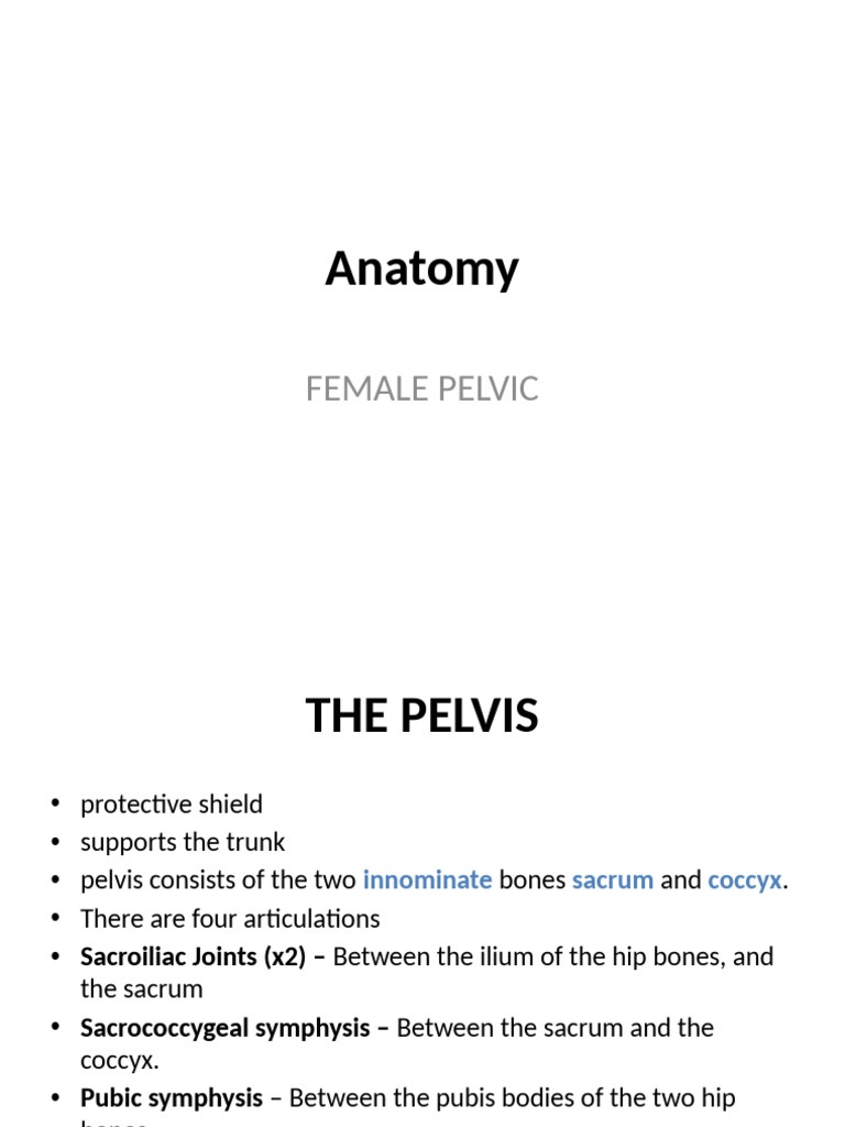 1587136062 4 Pelvic Floor Anatomy Function And Dysfunction Pdf