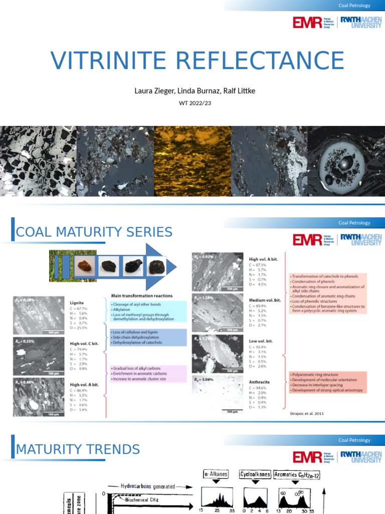 4 Vitrinite Reflectance and Microscopy | PDF | Microscope | Particle Size