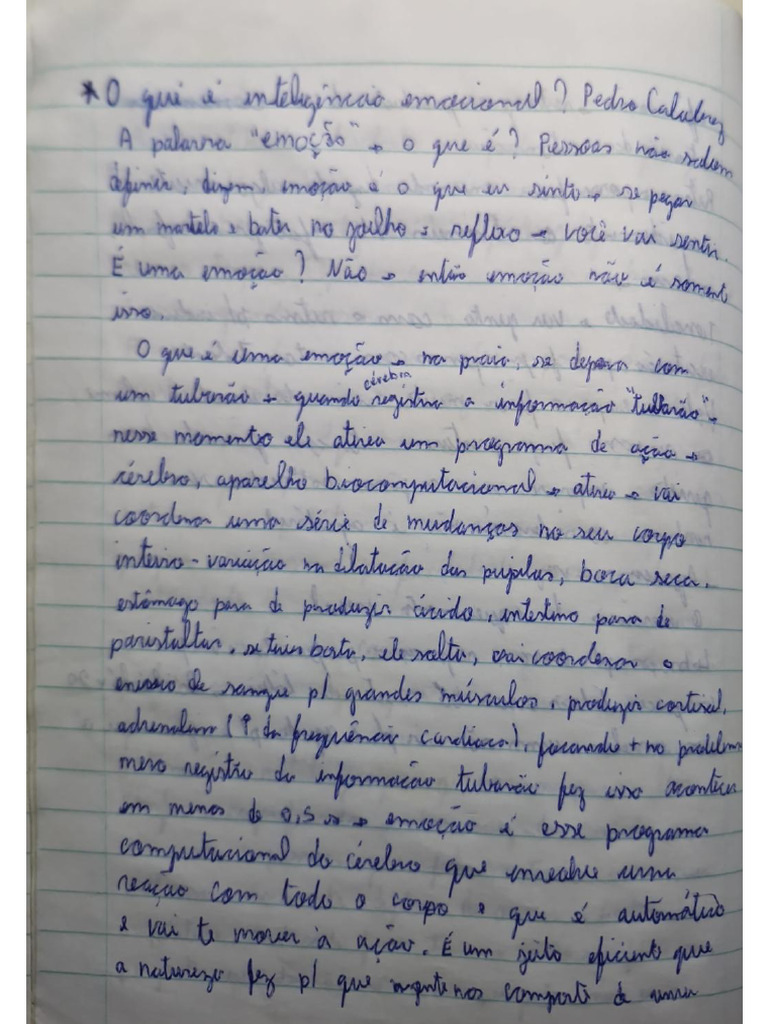 Pedro Calabrez o Que É A Inteligência Emocional | PDF