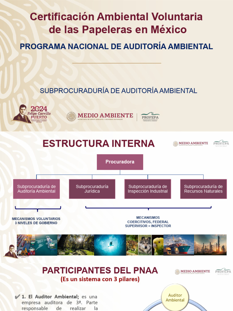 Certificación Ambiental Papeleras México | PDF | Auditoría | Agua