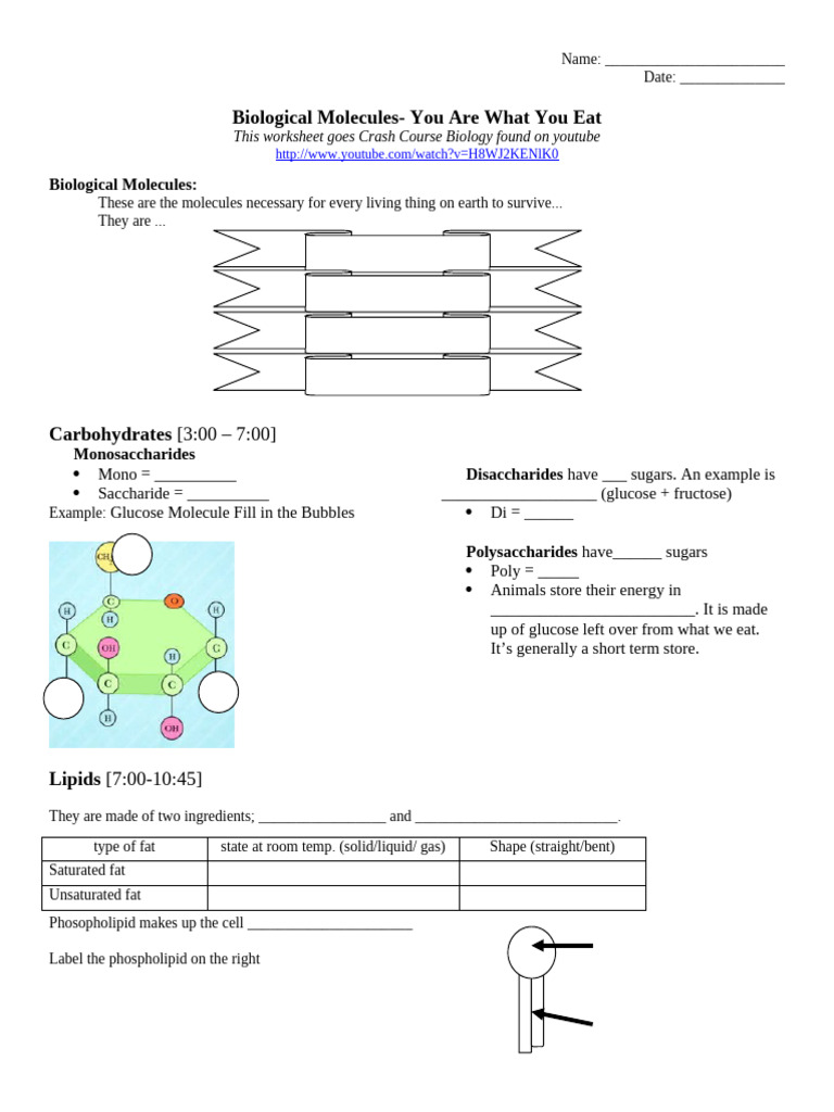 Biological Molecules You Are What You Eat Homework Assignment Due 9.15 ...