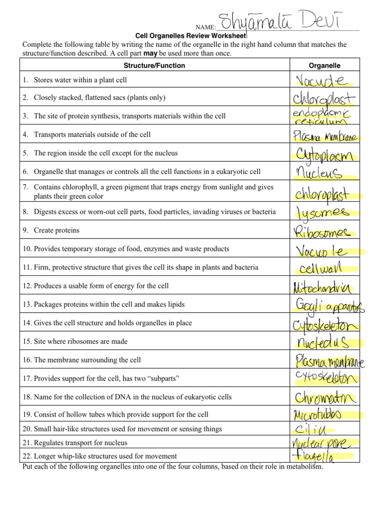 Cell Organelles Study Guide | PDF