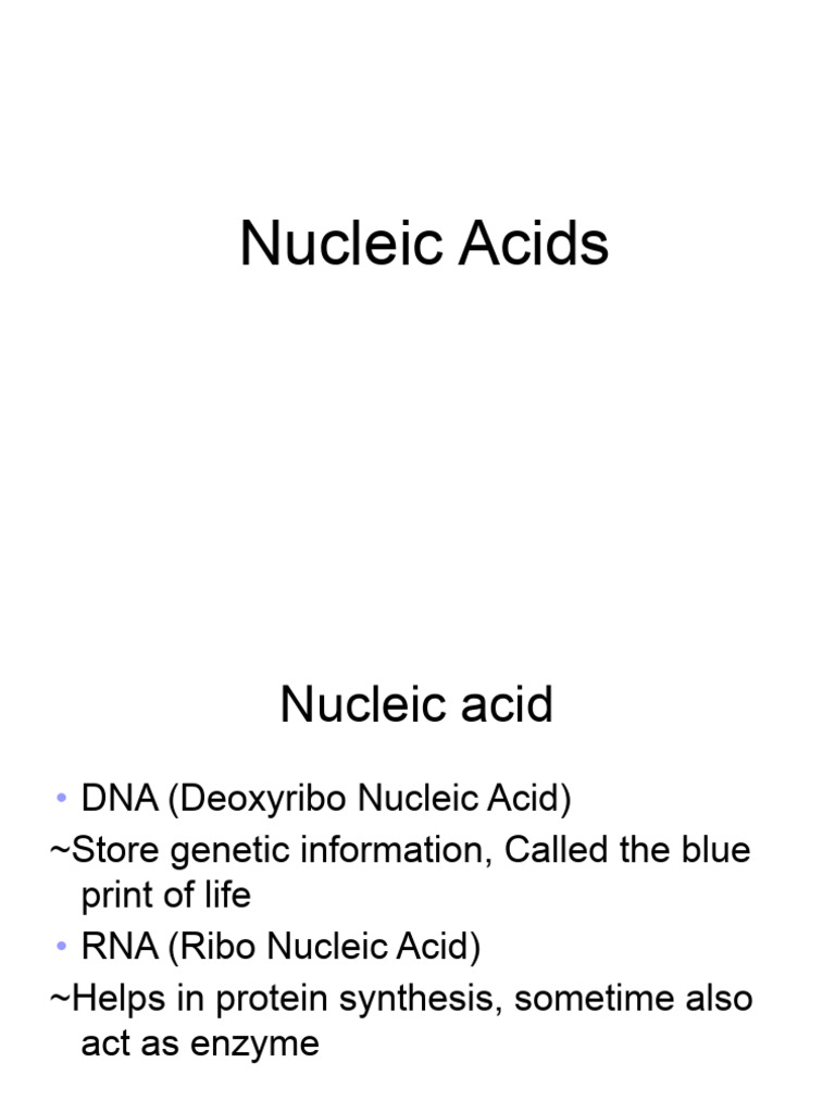 Nucleic Acids.ppt | PDF | Nucleic Acids | Dna