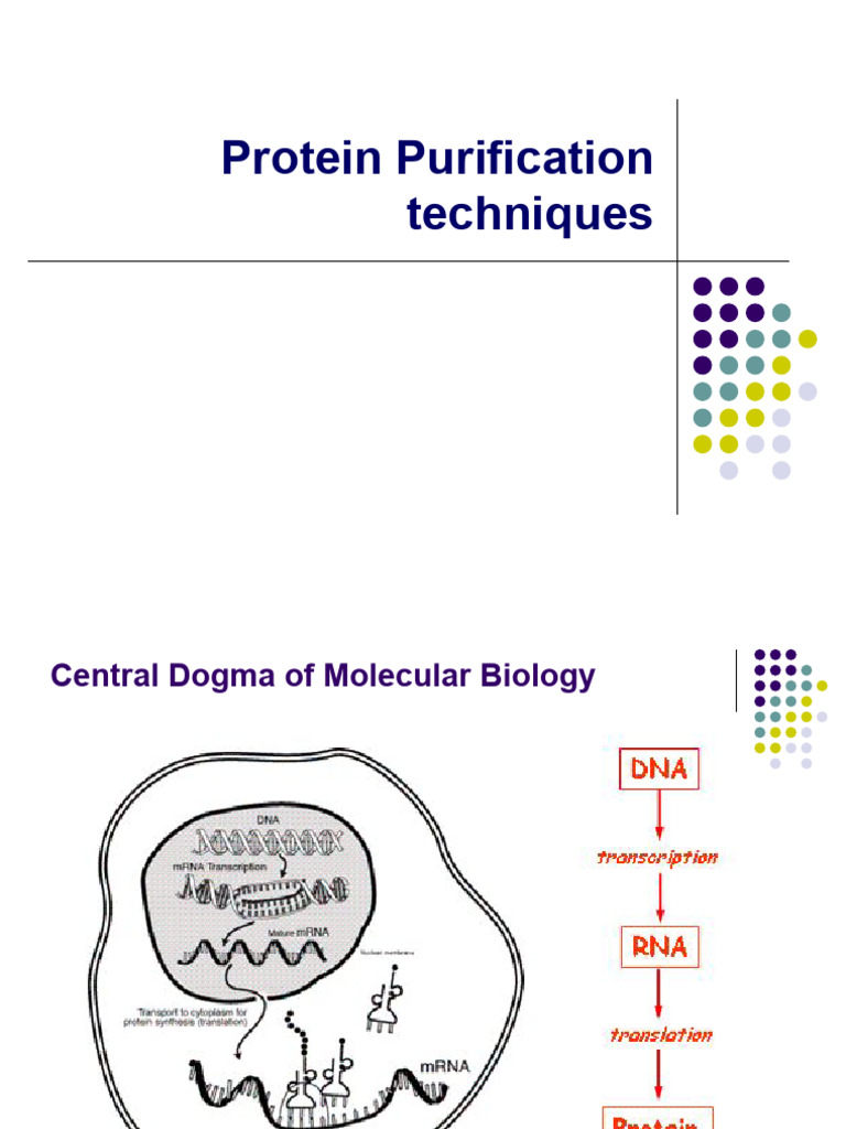 Protein Purification21082019 | PDF | Protein Purification | Gel ...