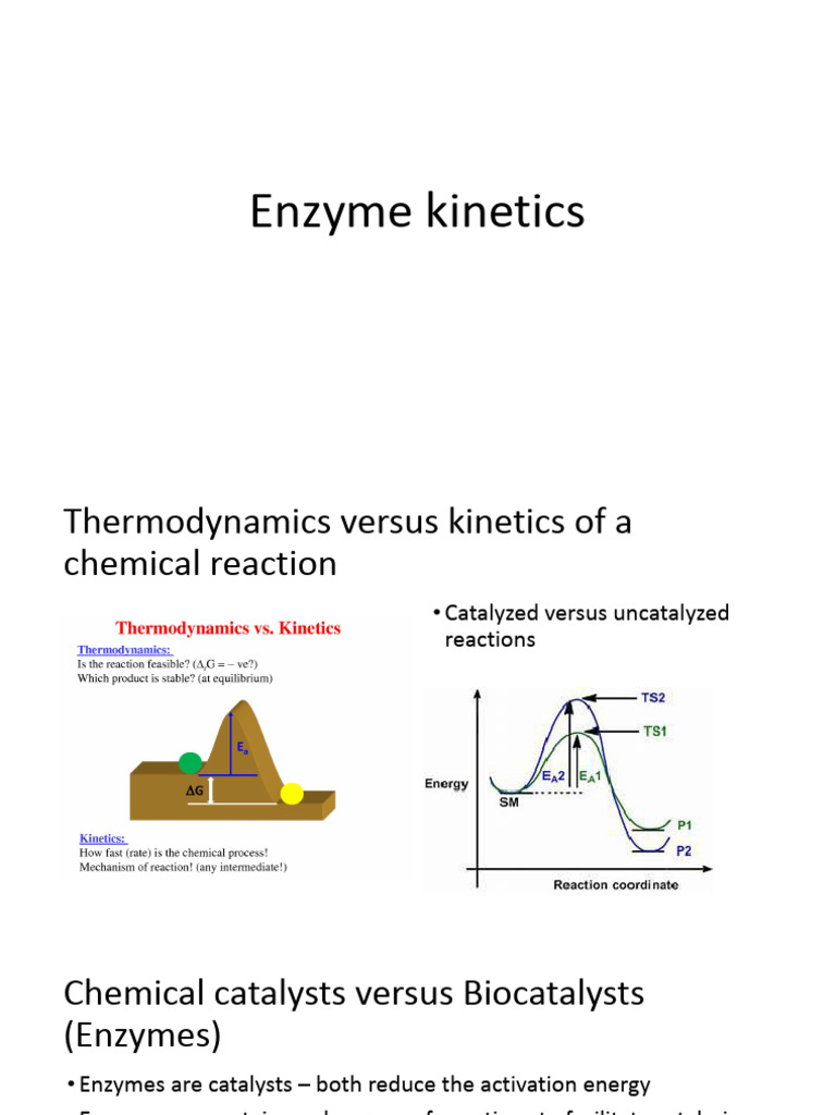Enzyme Kinetics (Autosaved) | PDF | Enzyme | Phosphorylation