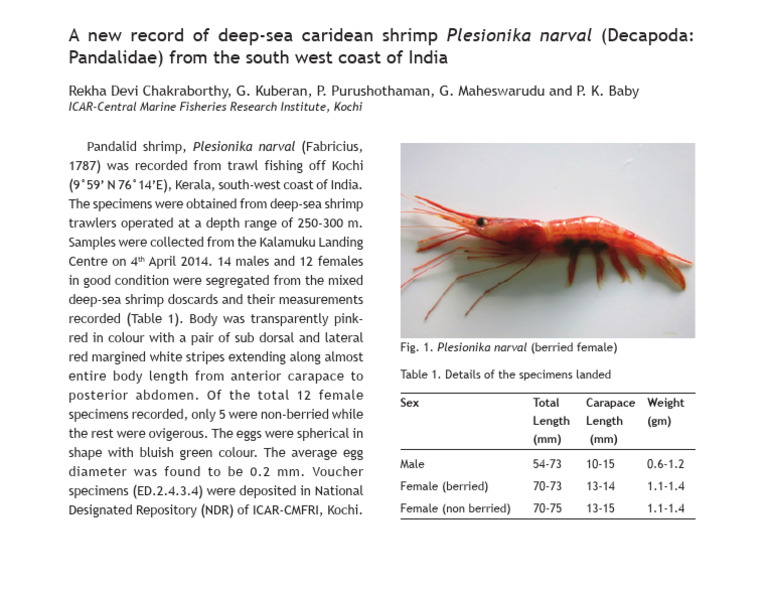 A New Record of Deep-Sea Caridean Shrimp Plesionika Narval | PDF | Fish