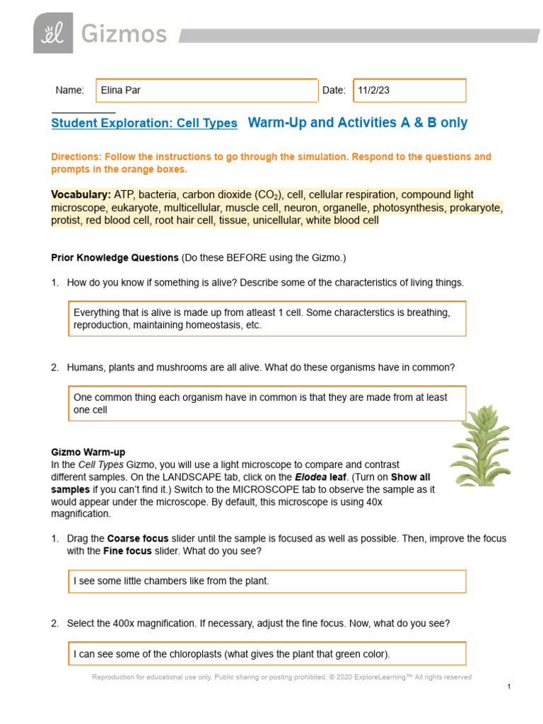 Cell Types Gizmos Warm-Up & Activities a & B SE Sheet | PDF | Cell (Biology) | Red Blood Cell