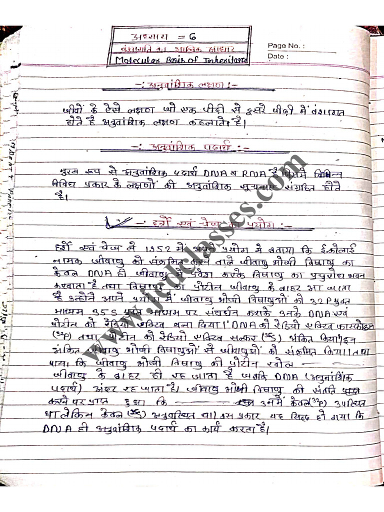 Clases Online en JCD Classes | PDF