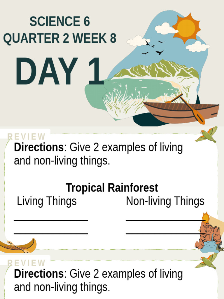 Mangrove Swamp Ecosystem Overview | PDF | Mangrove | Ecosystem