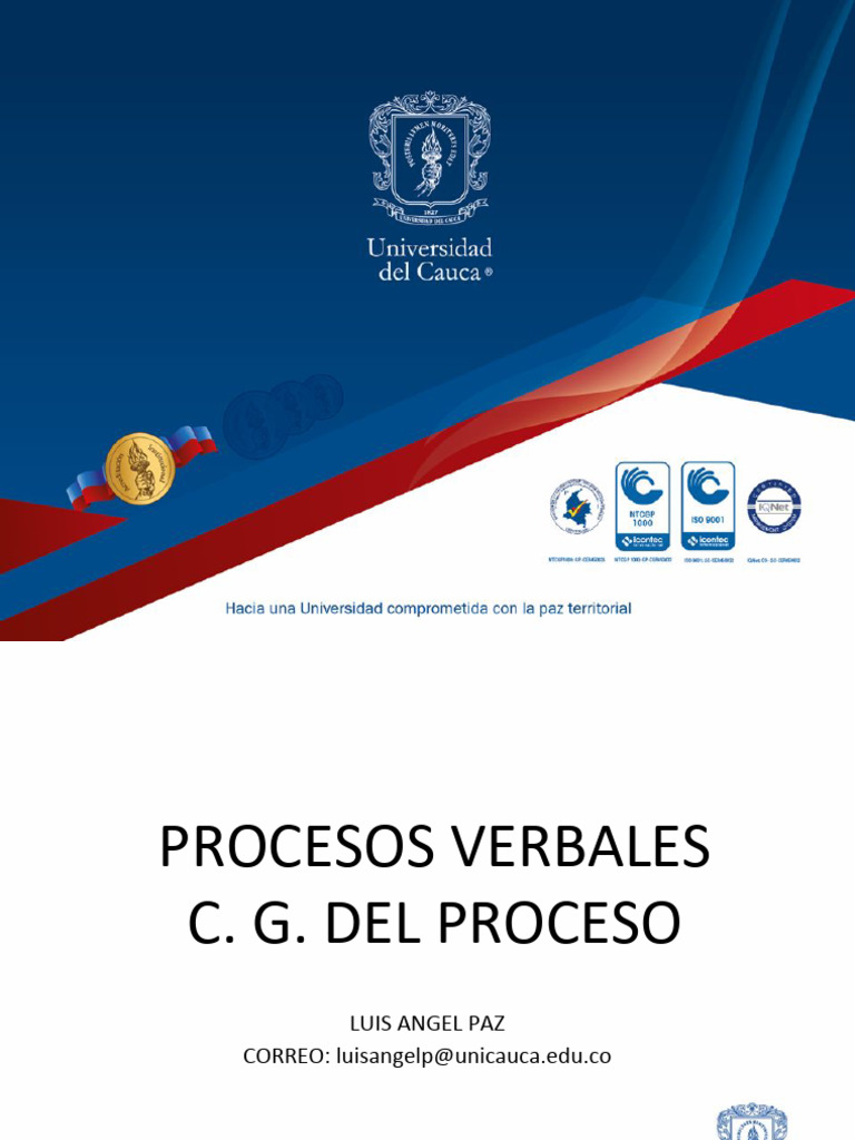 Todos Los Procesos Verbales | PDF | Demanda judicial | Mandato