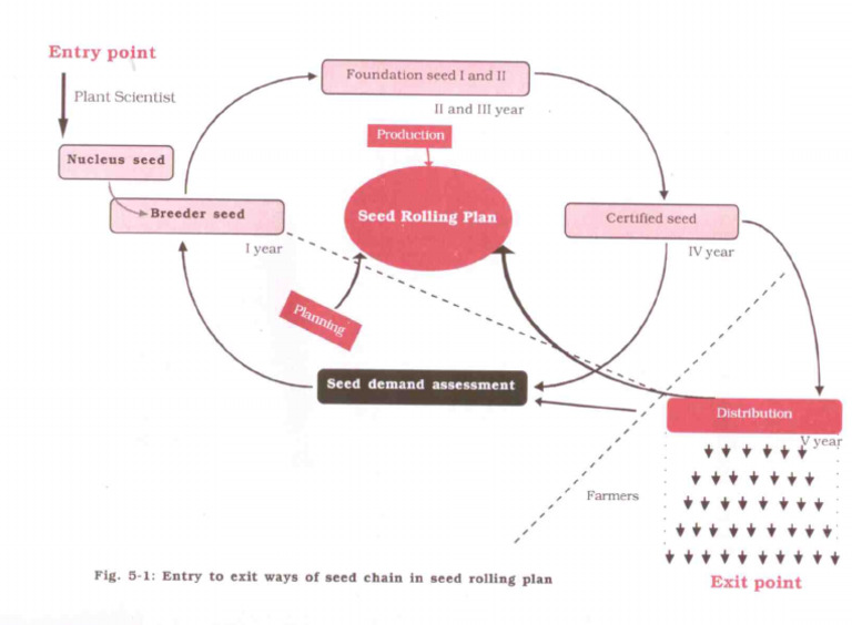 Seed Rolling Plan | PDF