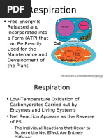 Respiration in Plants Ppt | PDF