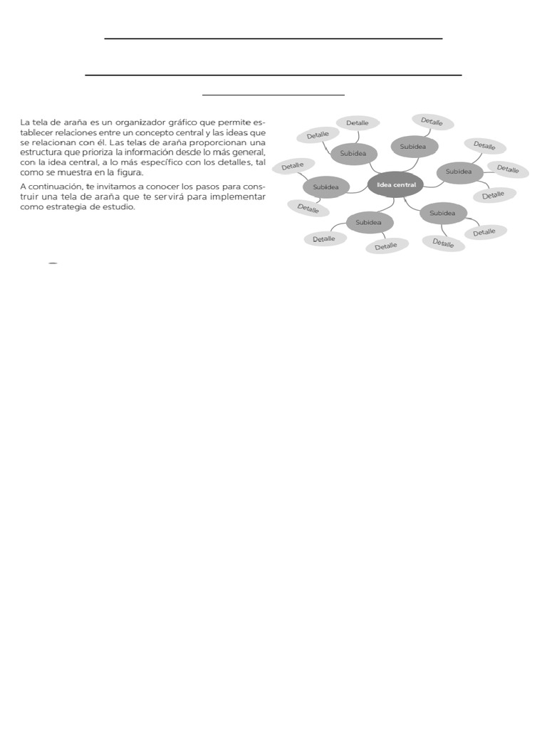 Guia Complementaria N°2 Segundo Medio | PDF