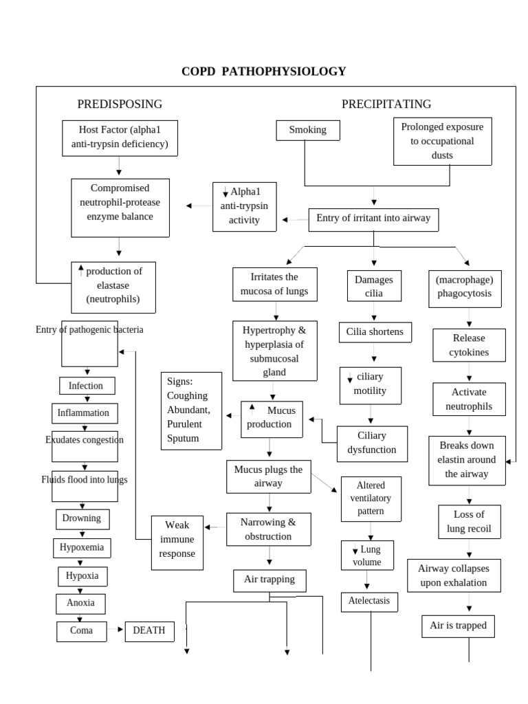 Pathophysiology | PDF | Lung | Respiratory Tract