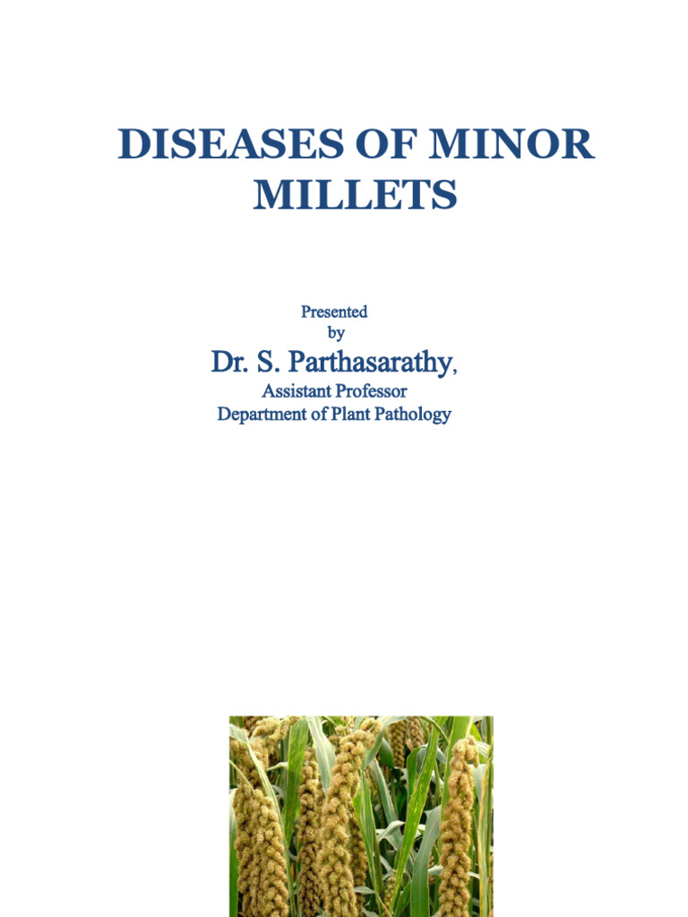 Diseases of Minor Millets | PDF | Leaf | Plants