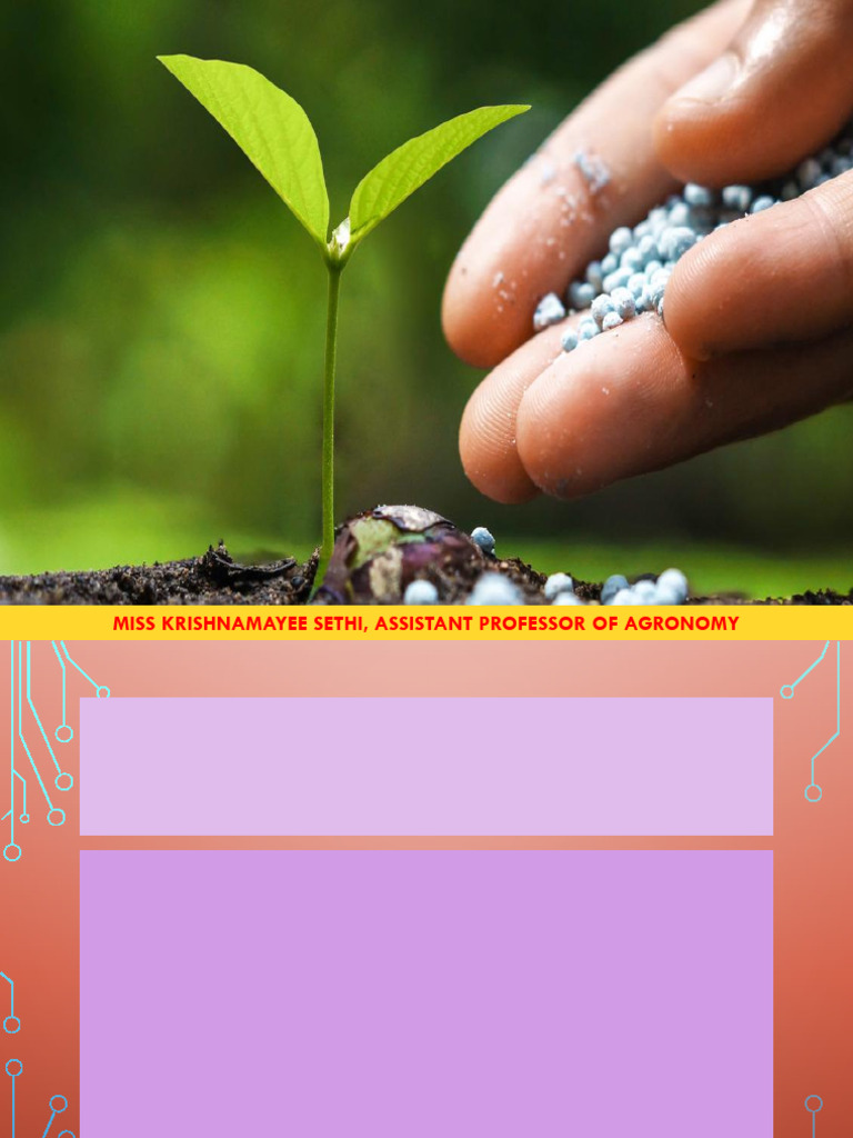 Miss Krishnamayee Sethi, Assistant Professor of Agronomy | PDF ...