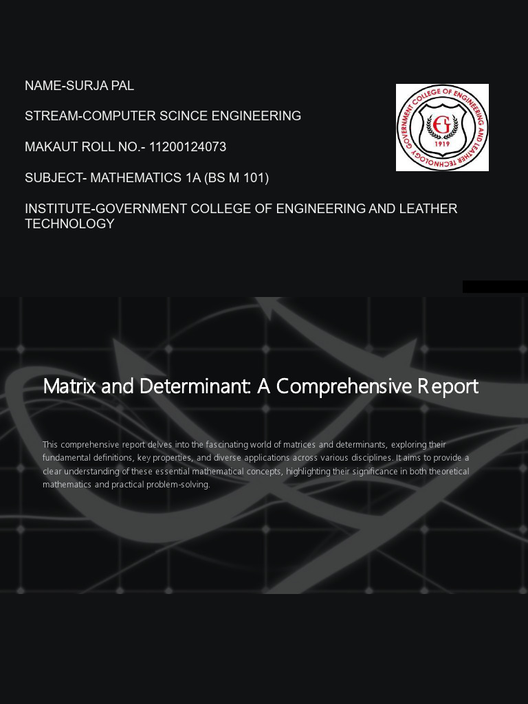 Surja Pal_cse | PDF | Matrix (Mathematics) | Determinant