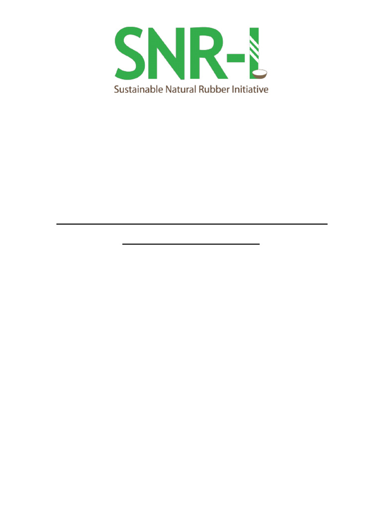 SNR-i Self Declaration Document KPI Bahasa IDN | PDF