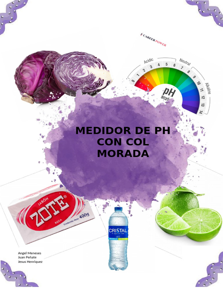 Documento1 PDF | PDF | Ph | Hidróxido