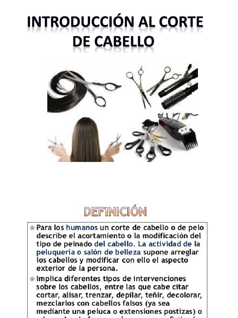 Introduccionn A Corte de Cabello | PDF | tijeras | Pelo