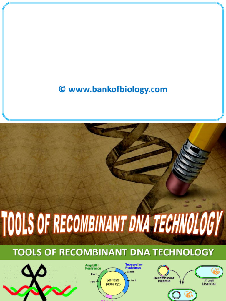 Tools Recombinant DNA | PDF
