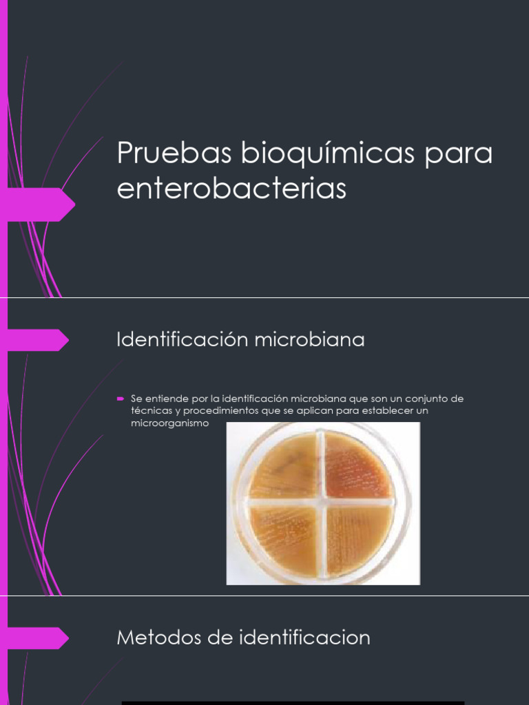 Pruebas bioquímicas para enterobacterias | PDF
