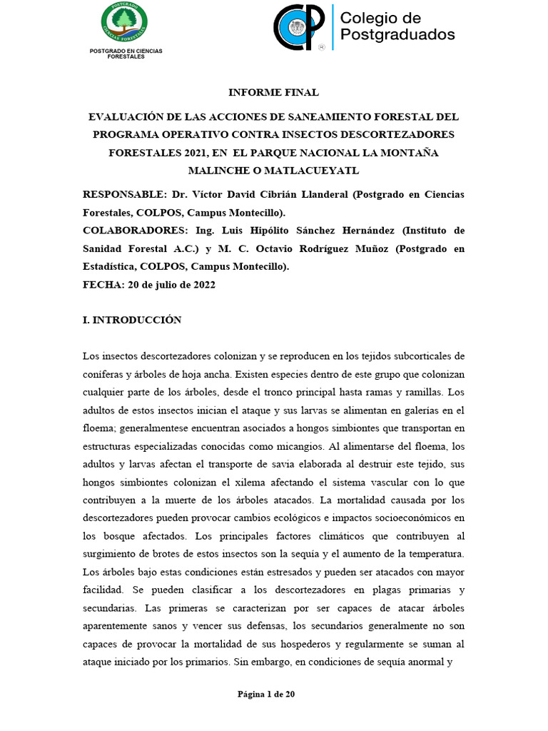 EVAL. FINAL DESCORTAZADORES 2021 | PDF | Los bosques | Arboles