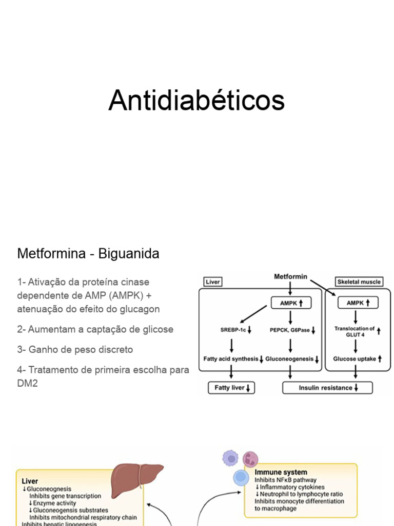 Antidiabéticos: Tipos e Efeitos | PDF | Farmacologia | Medicina Clínica