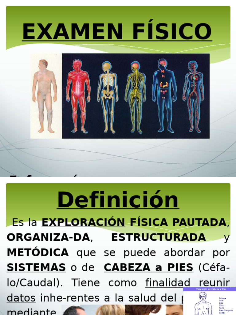 Examen Fisico | PDF | Examen físico | Medicina CLINICA