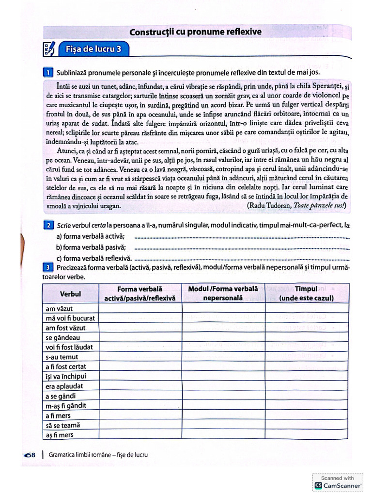Construcții Cu Pronume Reflexive (P45) | PDF