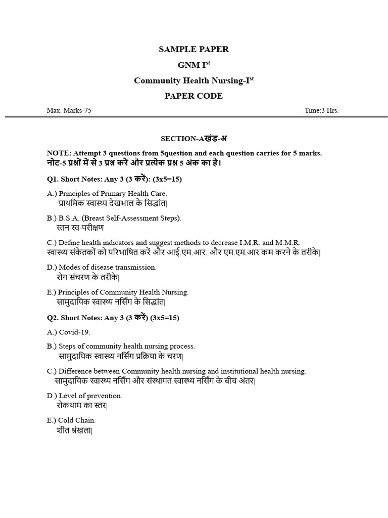 Community Health Nursing GNM First Year Mock Paper | PDF