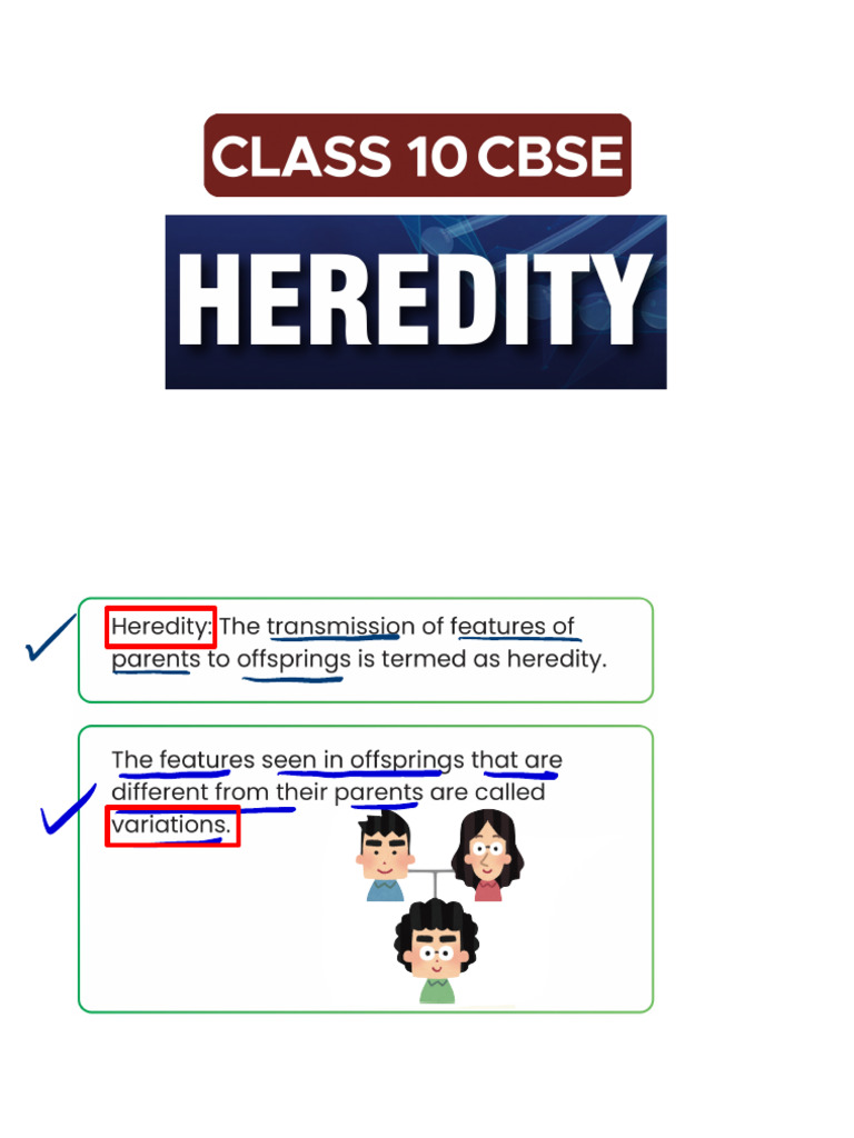 Heredity and Evolution | PDF | Dna | Genetics
