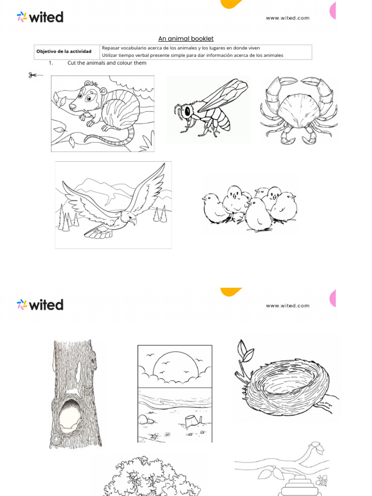 6b An Animal Booklet | PDF