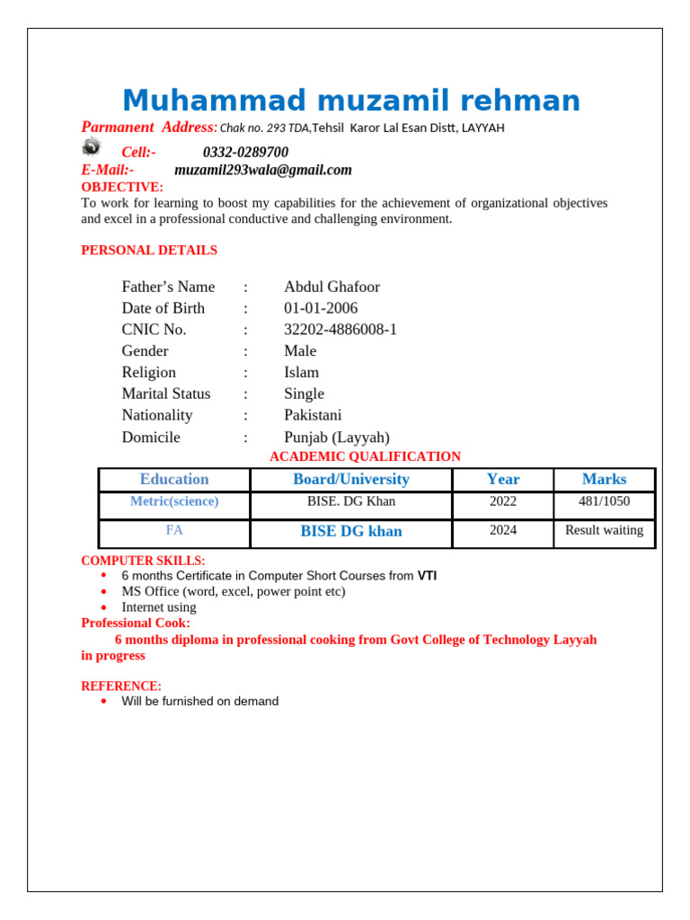 Muhammad Muzamil Rehman's CV and Skills | PDF