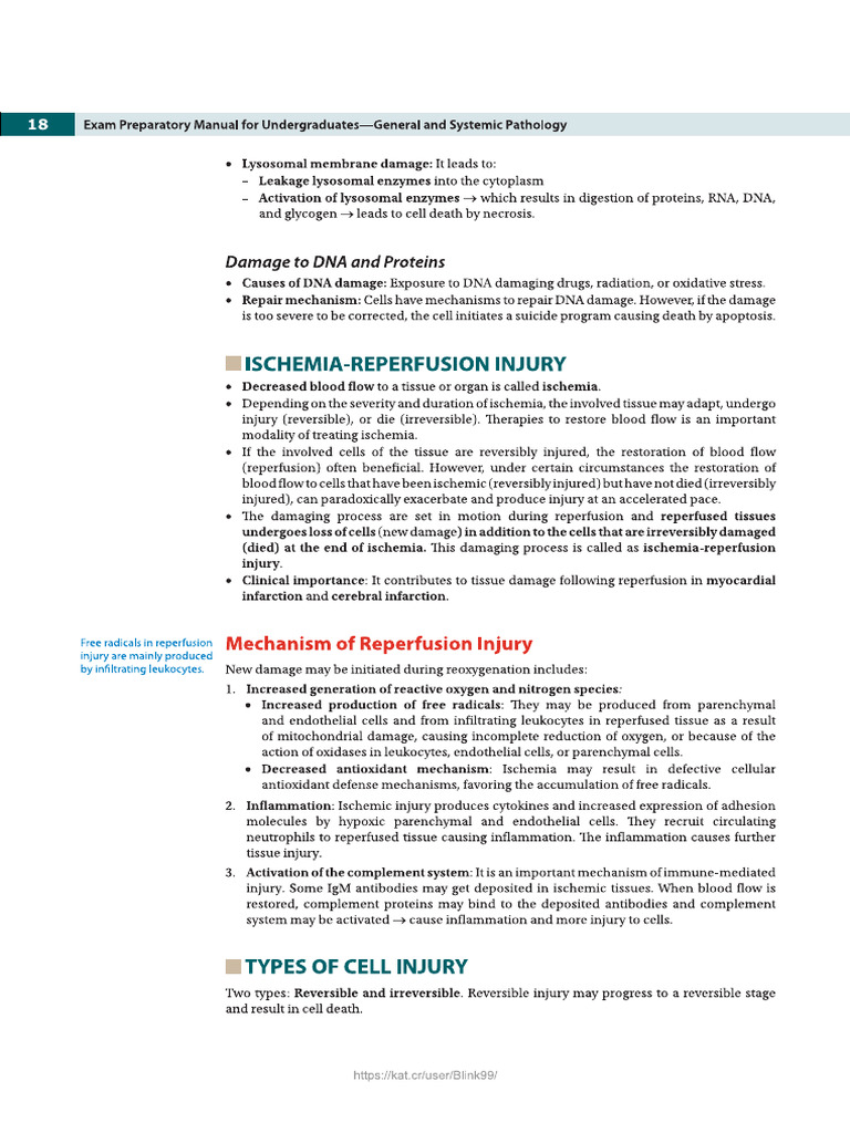 Ischemia Reperfusion Type Shi | PDF