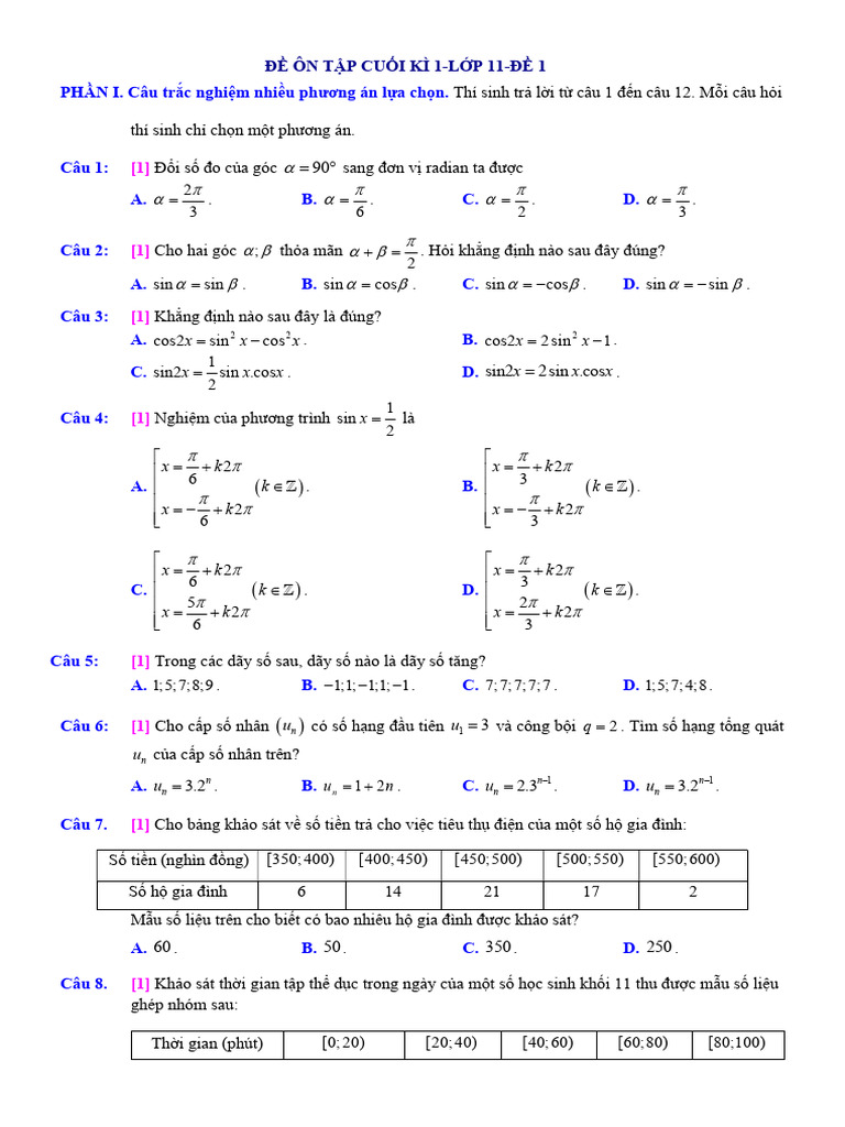 01 CK1 LỚP 11 KNTT 2024 2025 ĐỀ 1. | PDF