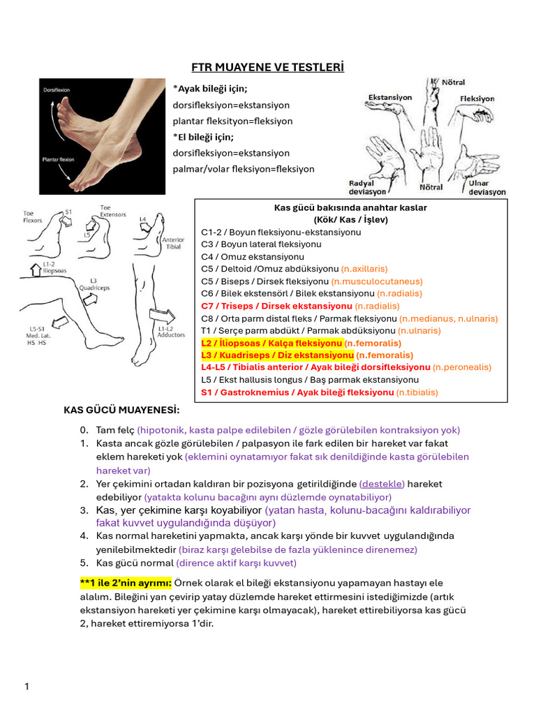 FTR Muayene Ve Testleri̇ | PDF