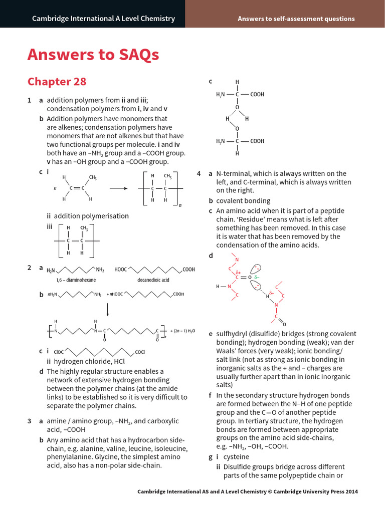 SAQ_ans_28 | PDF | Amino Acid | Carboxylic Acid