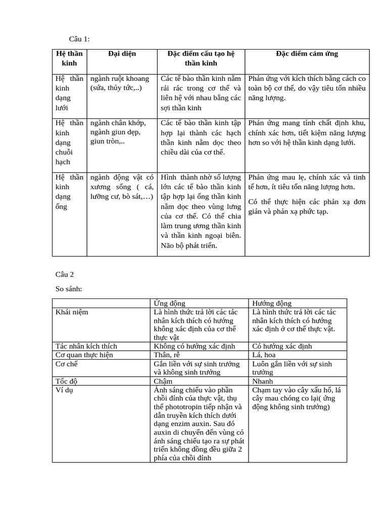 E Cuong Sinh 11 Giua Ki 2 | PDF