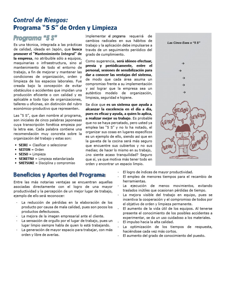 Implementación del Programa 5S | PDF