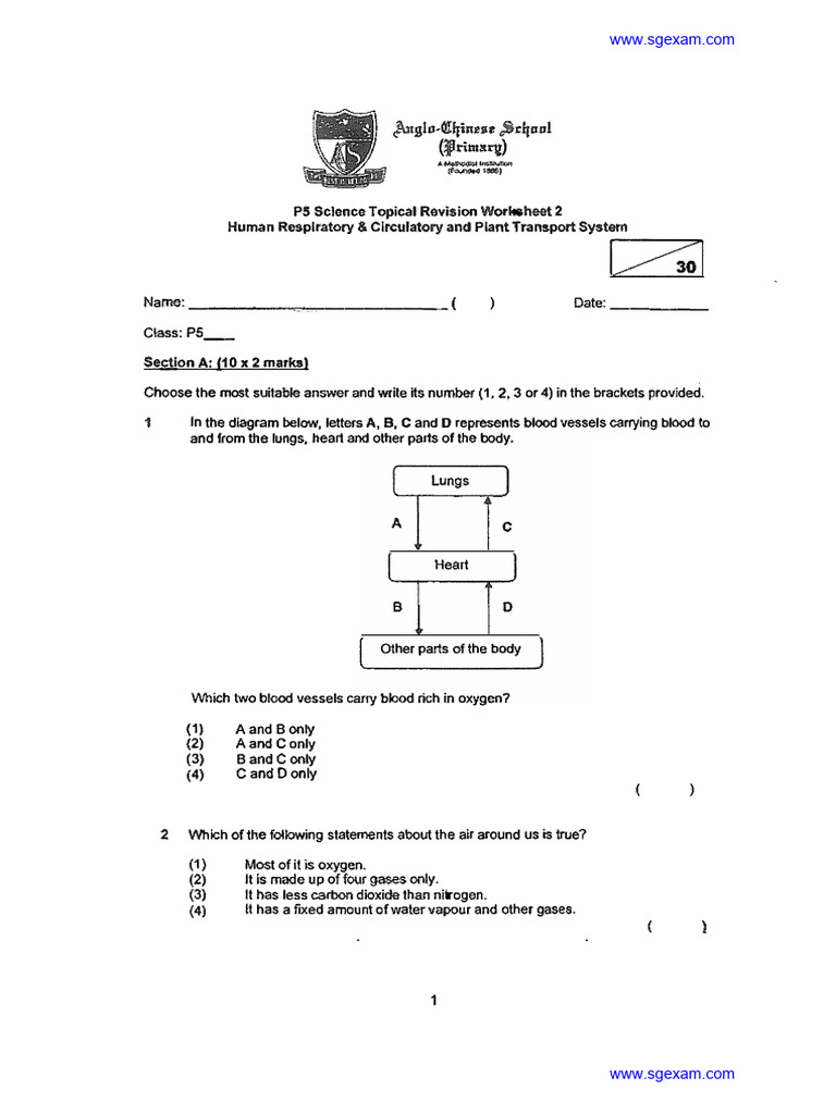 2023-P5-Science-Worksheet 2-ACSP | PDF | Breathing | Blood