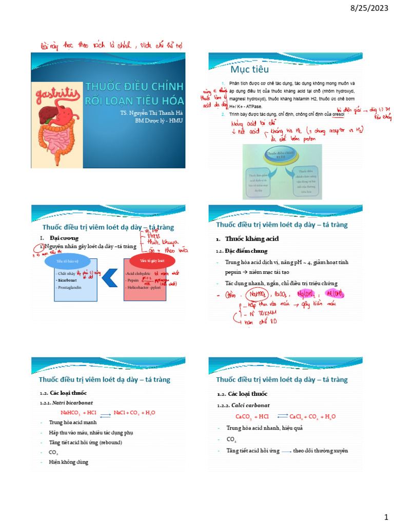 Thuốc Điều Chỉnh RLTH RHM | PDF